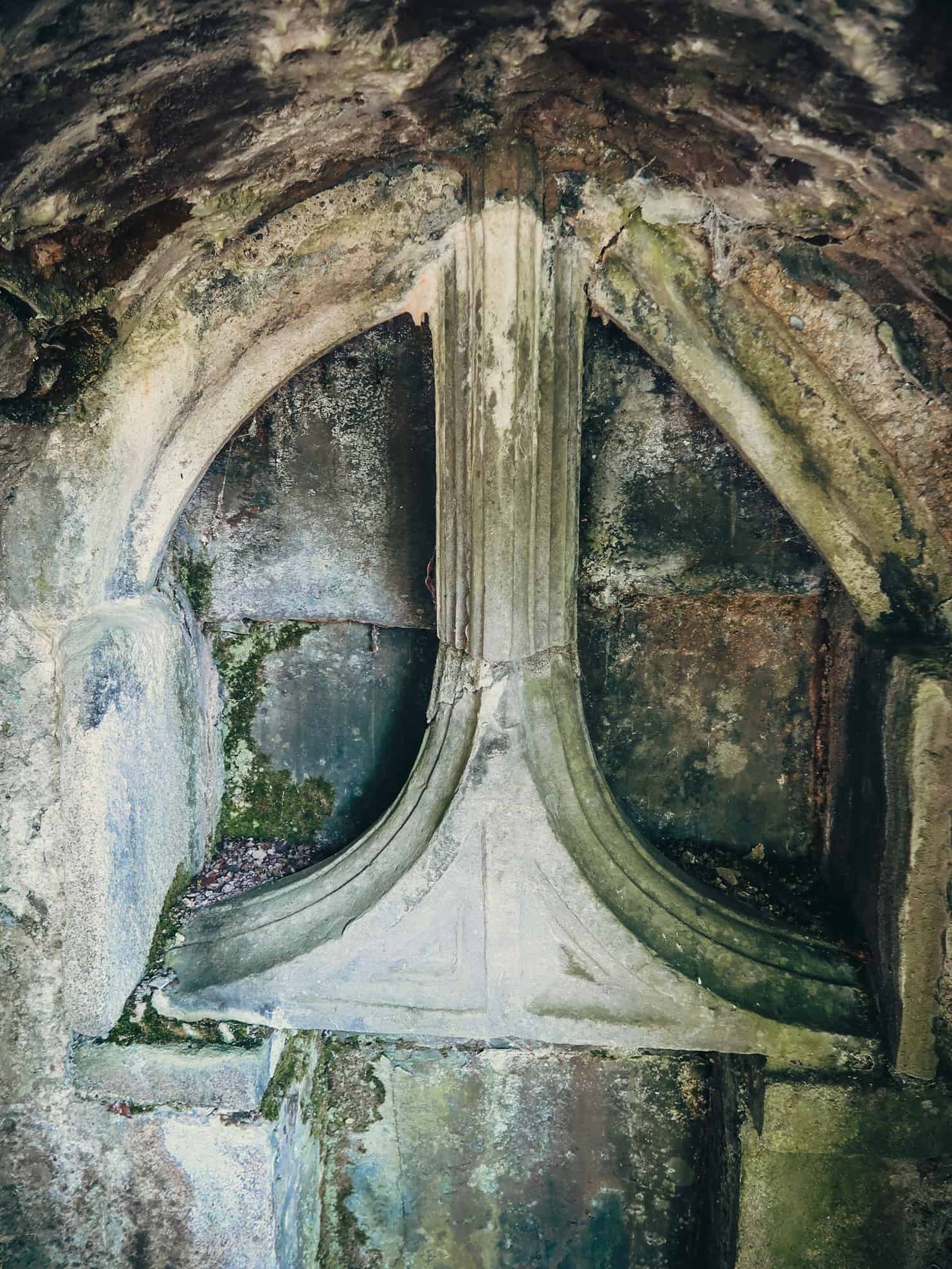 Two Prophets: St Colmcille & St Moling