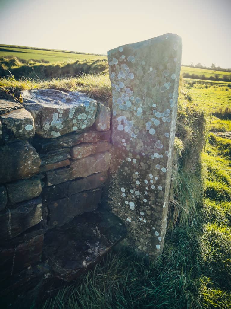 Brosna: birthplace of the sweet & shining Moling | Holy Wells of Cork ...