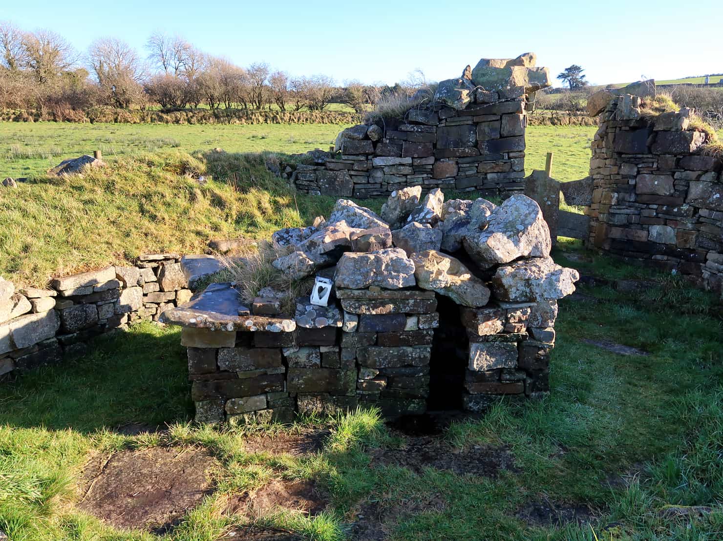 Brosna: birthplace of the sweet & shining Moling | Holy Wells of Cork ...