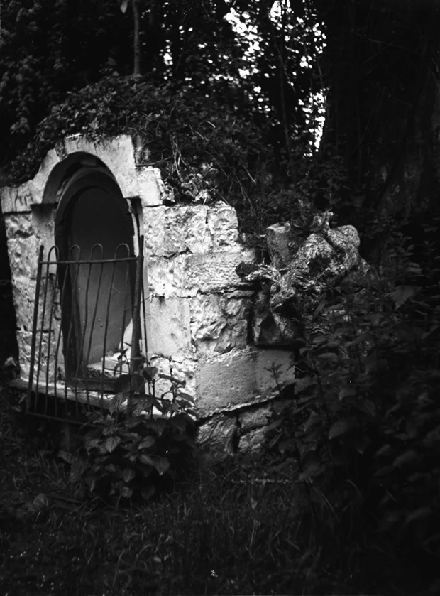Shady Lady: Mary Magdalen’s Well, Kilbane, Limerick City