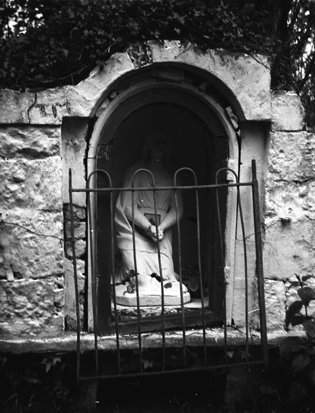 Shady Lady: Mary Magdalen’s Well, Kilbane, Limerick City