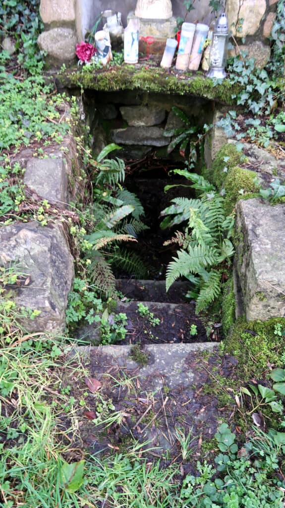 Shady Lady: Mary Magdalen’s Well, Kilbane, Limerick City